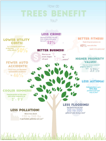 Biokipos: ΙΑΝΟΣ, ΑΣΤΙΚΟ ΠΡΑΣΙΝΟ ΚΑΙ ΟΙ ΠΡΑΣΙΝΕΣ ΠΟΛΕΙΣ ΤΟΥ ΜΕΛΛΟΝΤΟΣ