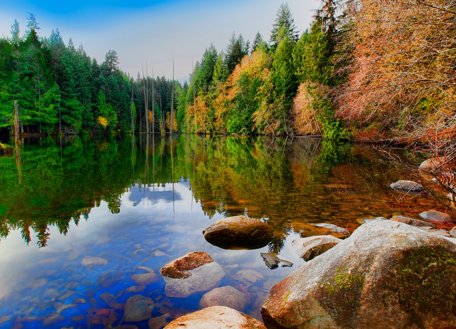 BANCO DE IMÁGENES GRATIS: Lago junto al bosque