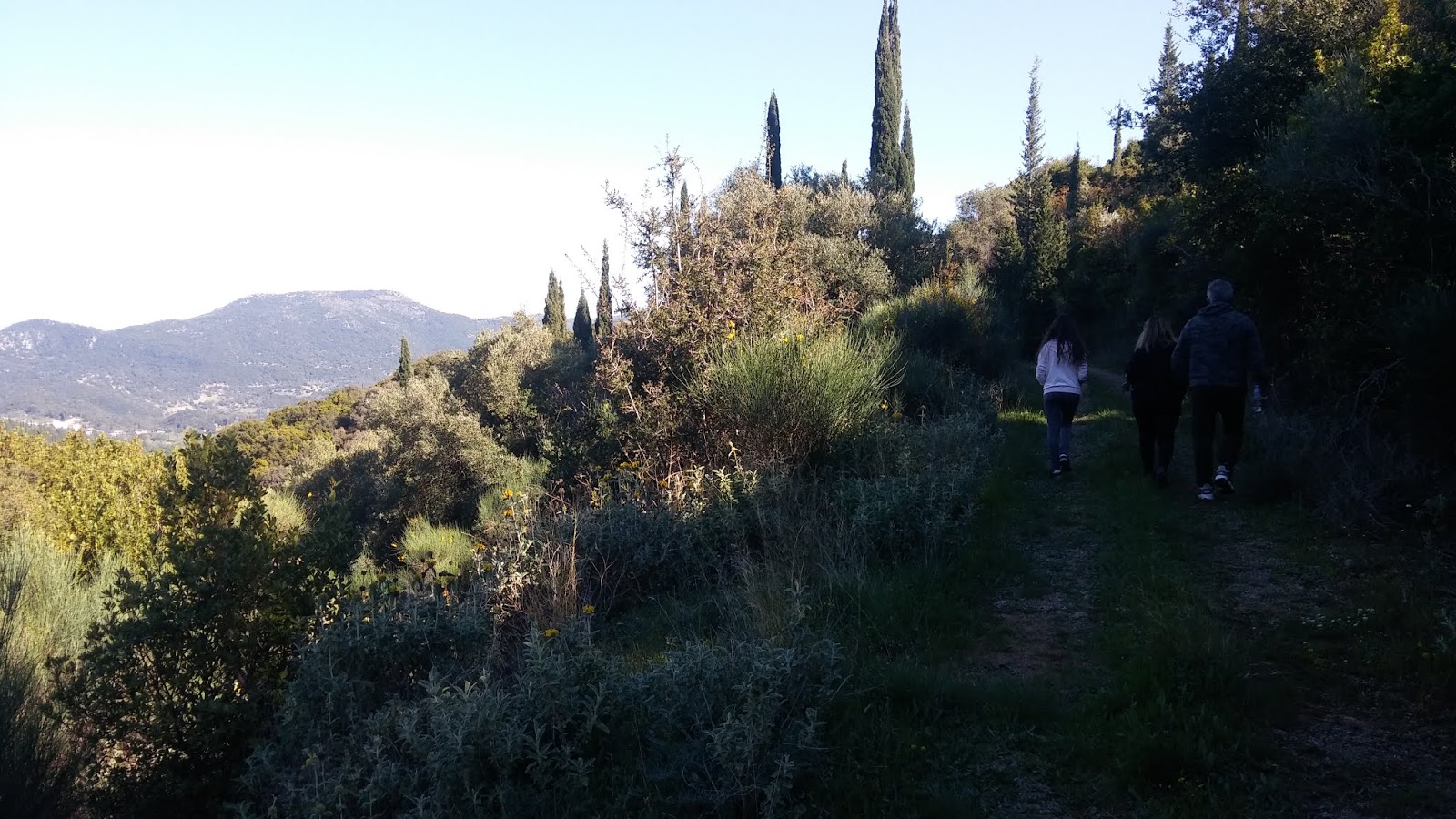 porosvress.blogspot.gr: Πεζοπορια στα χναρια του Οδυσσεα.Ανδριολατα