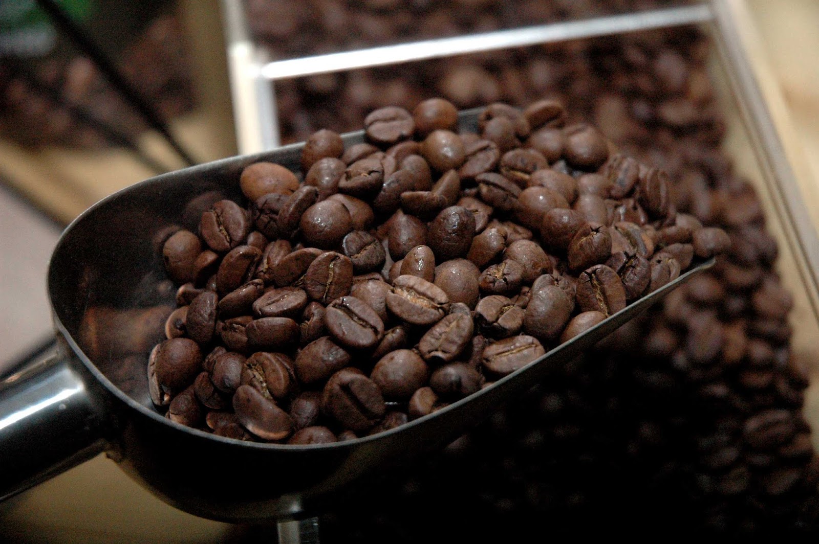 DUDE FOR FOOD: Masterfully Roasted: The Coffee Culture and Gourmet Farms