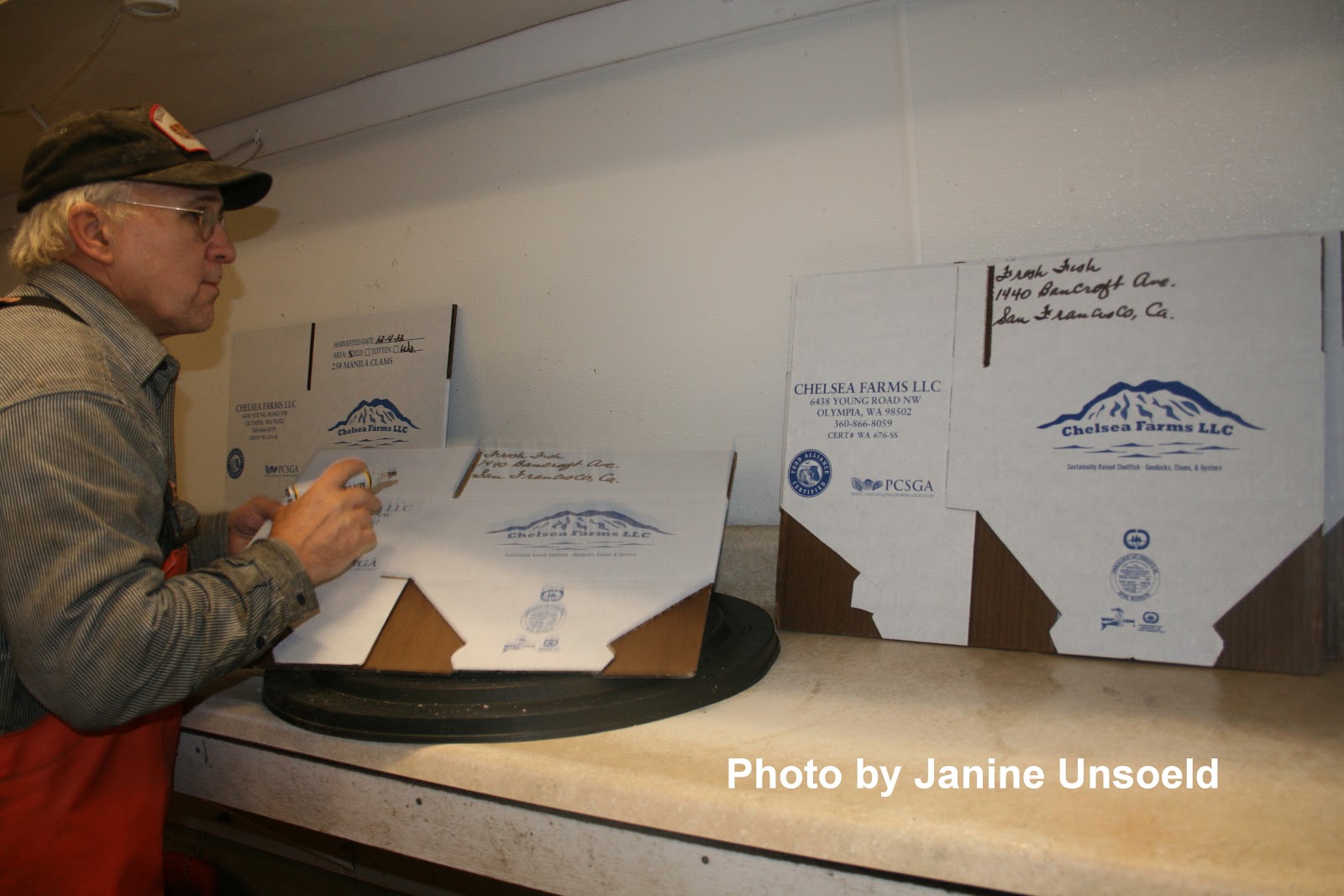 Little Hollywood: Shellfish Farmer Tom Bloomfield: A Canary in a Coal Mine