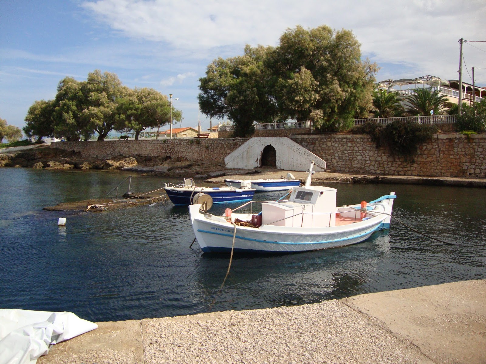 NEWS MESSINIA - ΜΕΣΣΗΝΙΑΚΑ ΝΕΑ και ΕΙΔΗΣΕΙΣ: ΔΙΗΓΗΜΑ - Η ψυχή του σκύλου