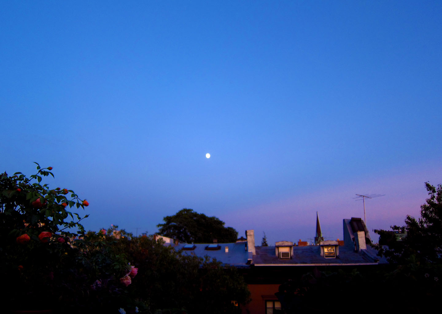 66 Square Feet (Plus): October evening