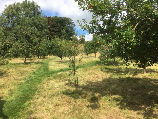 Bradwell Community Orchard
