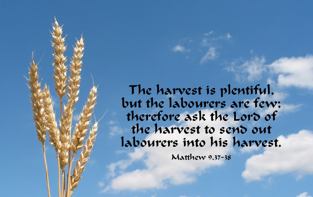 Walking in the Light : Matthew 9:35-10 – 10:1-42 – Lesson 11