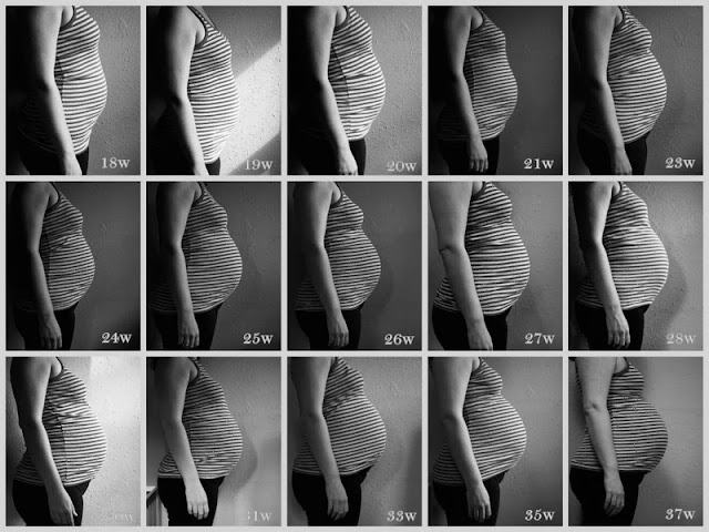 lovely-apidae-pregnancy-update-37-weeks