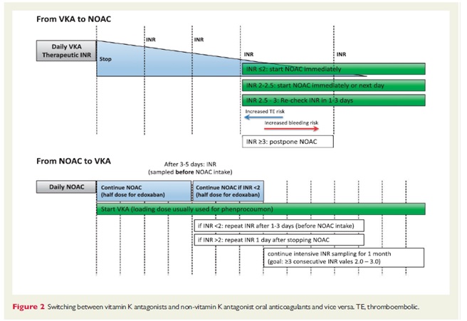 ASK DIS: The 2018 European Heart Rhythm Association Practical Guide on ...