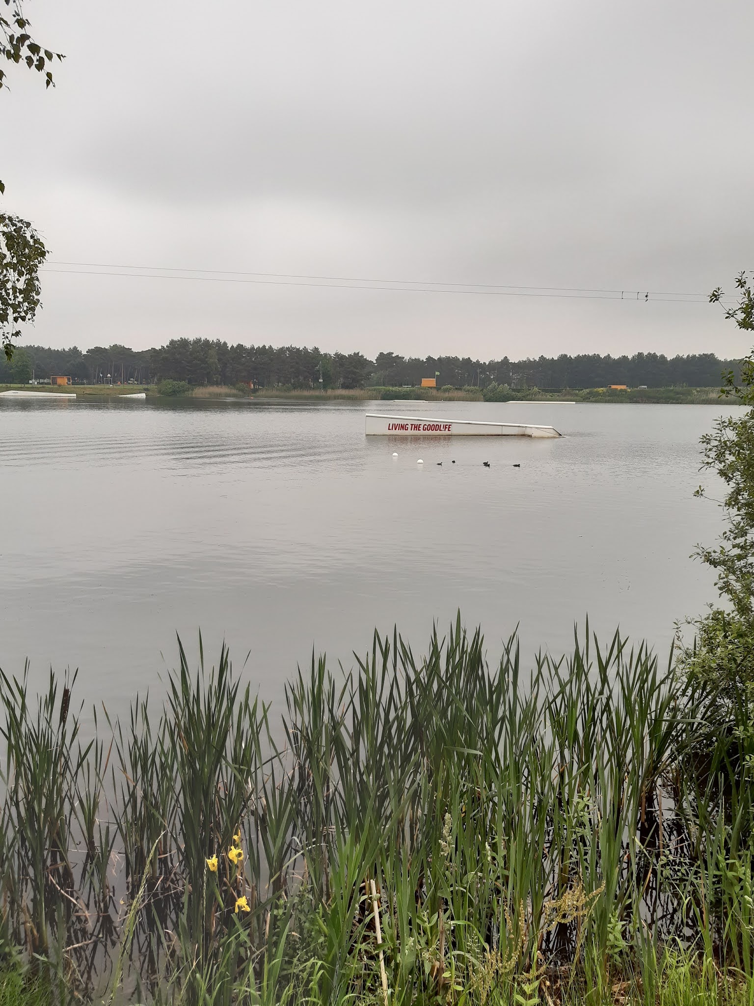 Walking Jeff: wandeling 2328 Meersel Dreef- Hoogstraten 18,5 km.