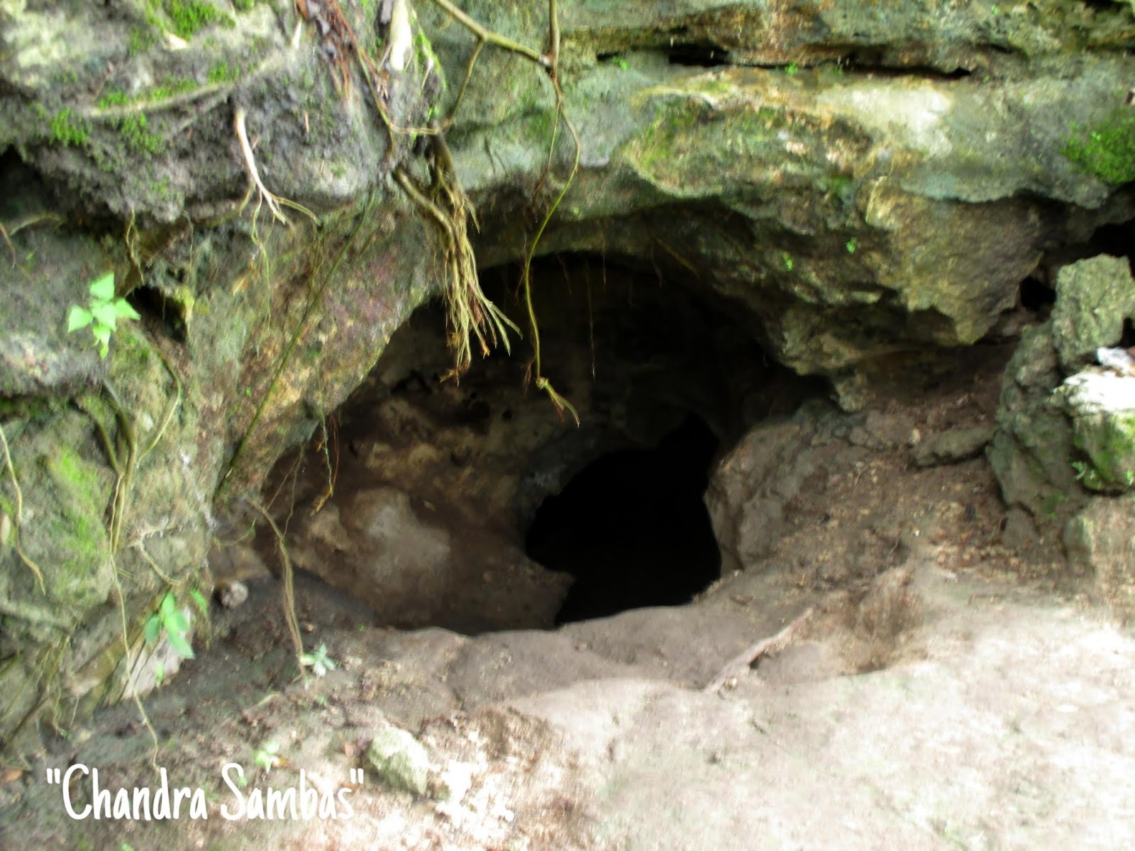 Kolam Tao Delapan Putri, Goa Perak dan Goa Emas | Backpacker Alam dan ...