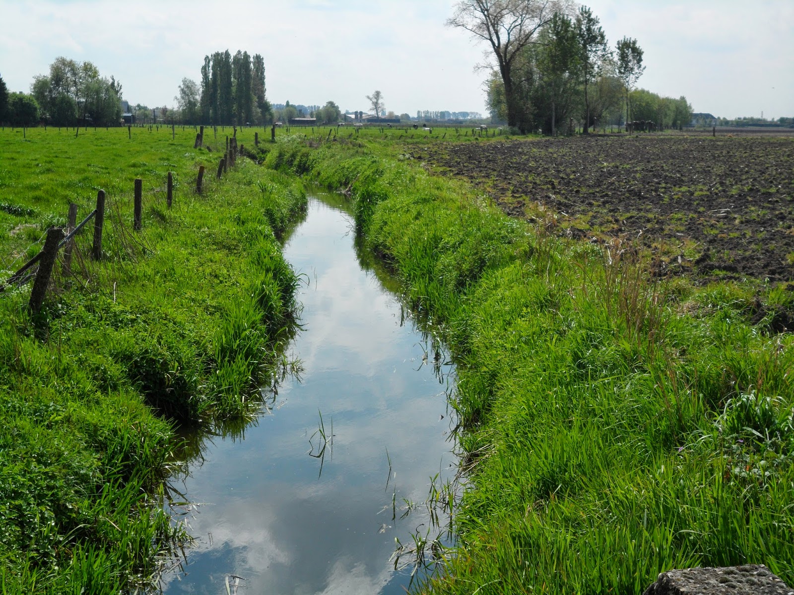 Leefgroep 5: BEKENTOCHT