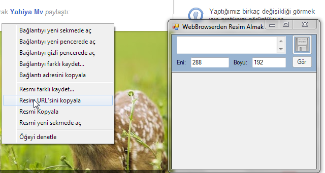 KOD ÖRNEKLERİ: WEB BROWSERDEN RESİM ALMAK