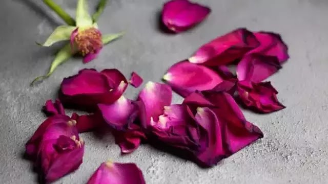 The Sick Rose Text With Bengali Meaning the-sick-rose-text-with-bengali-meaning