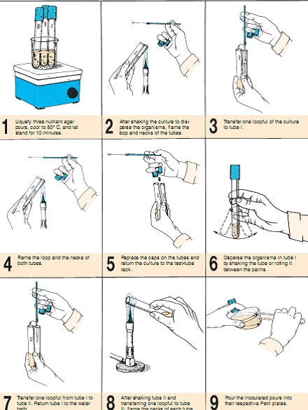 Dunia Ilmu dan Teknologi: ISOLASI MIKROBA