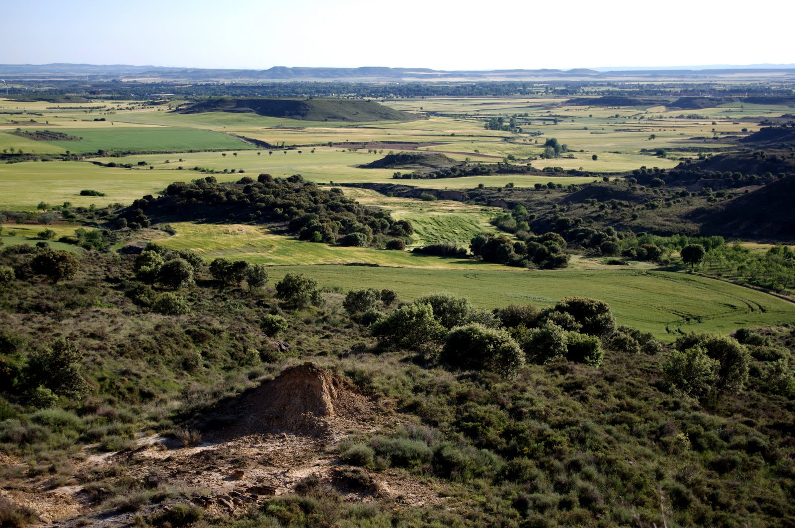La cueva del coco: ¡El Coco ha recordado...!