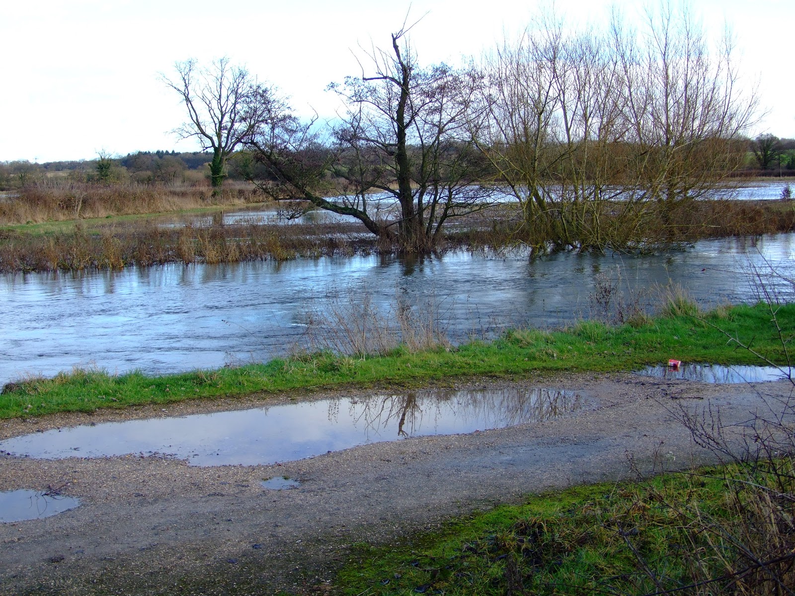Canoeing and Kayaking on The River Kennet: Water levels up and down the ...