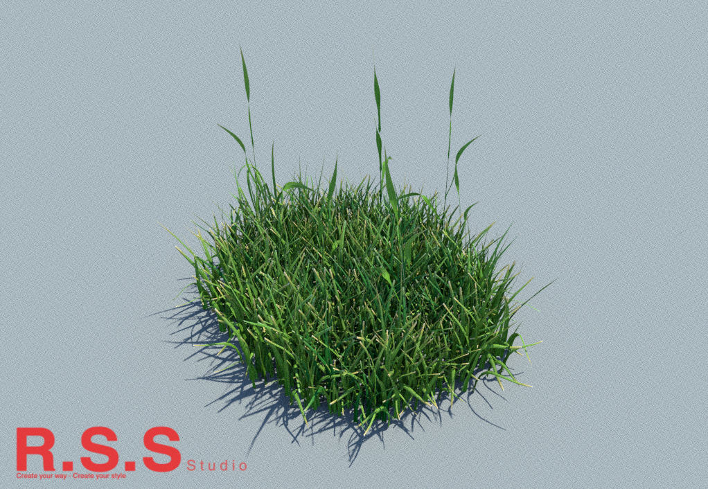 WinskyserinArchSketch: Thea render resource : Grass