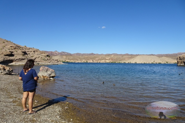 Searchlight, Nevada USA: Nelson's Landing Cliff Jumping Site ...