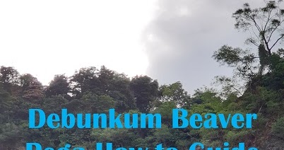 Debunkum Beaver: Creating REST Service and REST Connector: Pega How-to Guide