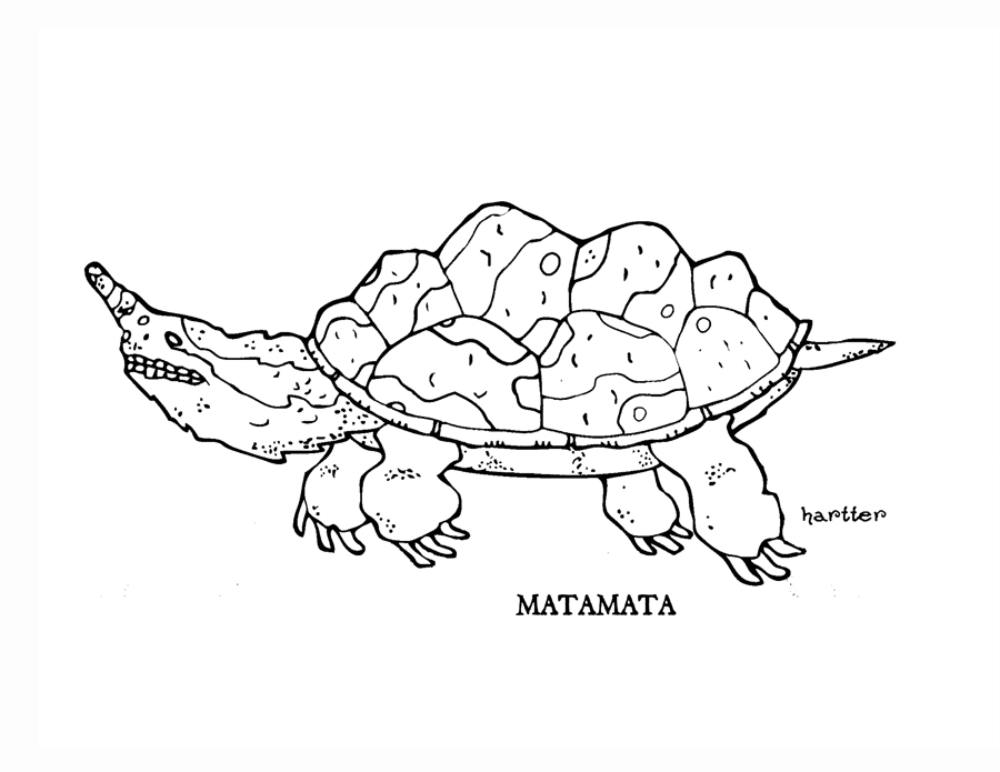 HARTTER: COLORING BOOK STILL AVAILABLE