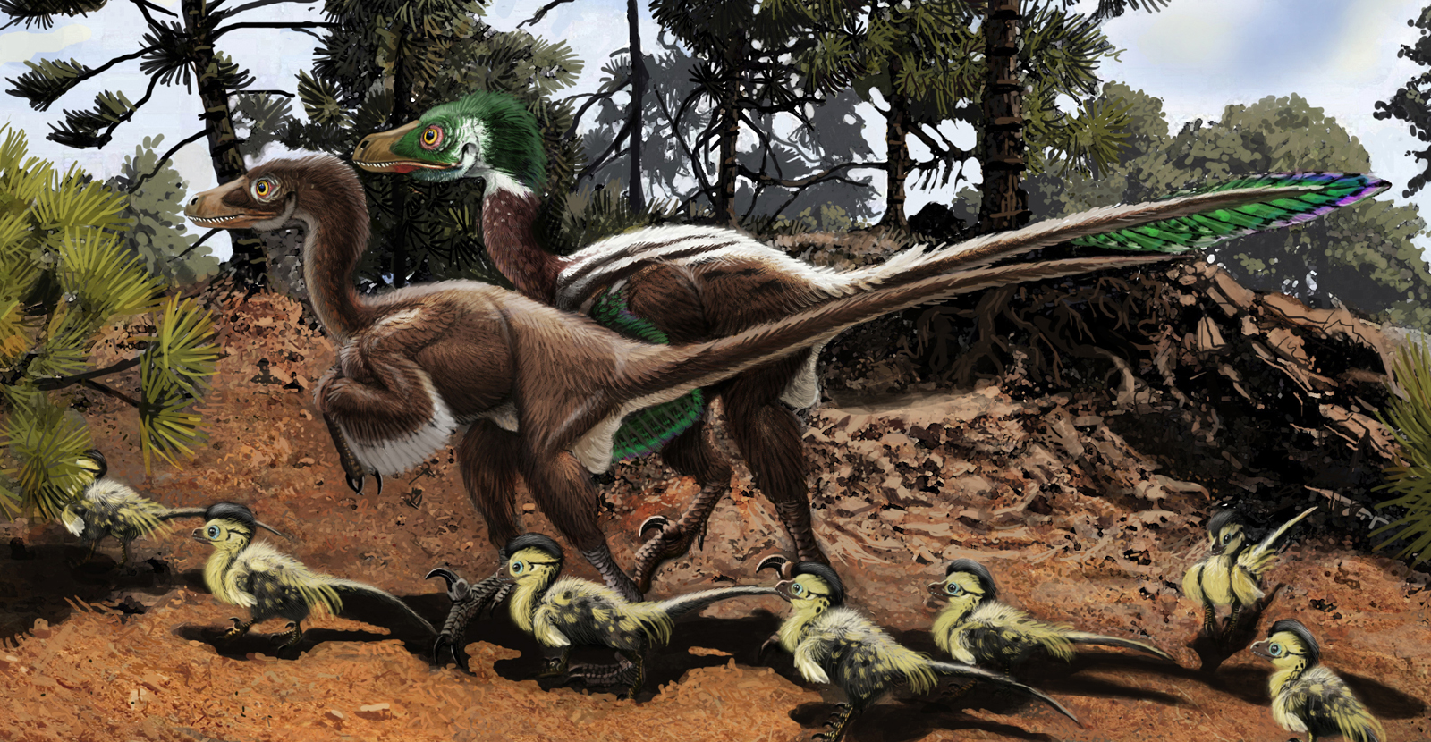 Dromaeosaurus Size
