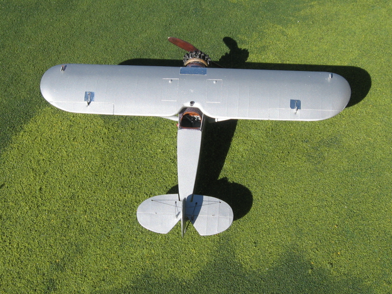 Wings of Intent: Scratchbuilt Ryan M-1 completed