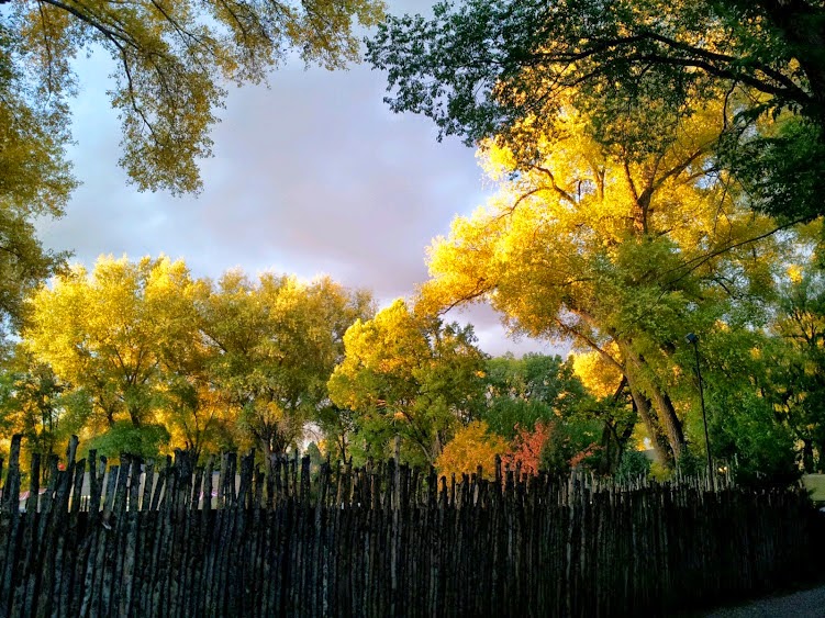 California Girl In Taos: Early Fall in Taos