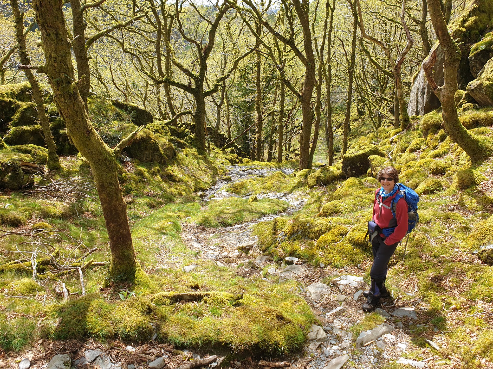 Postcard from Timperley: Wednesday 5 May 2021 - Nanmor and Aberglaslyn