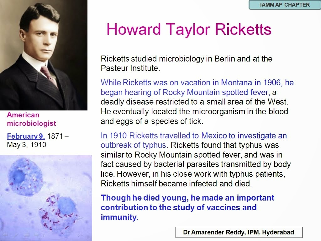 Política, política mexicana y política a la mexicana.: Rickettsia, se ...