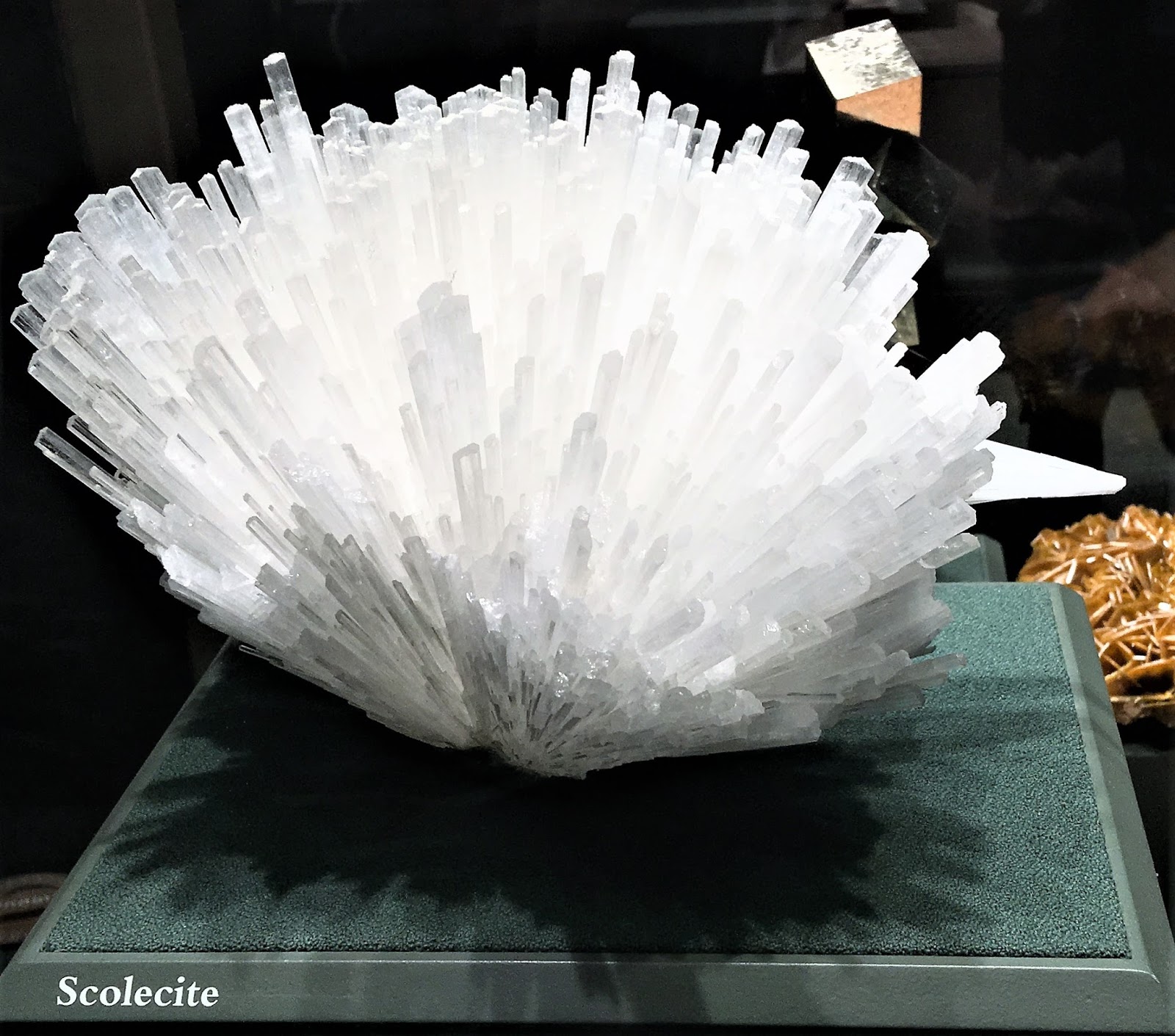 The 10 Year Plan: Museums: Smithsonian Institution National Museum of ...