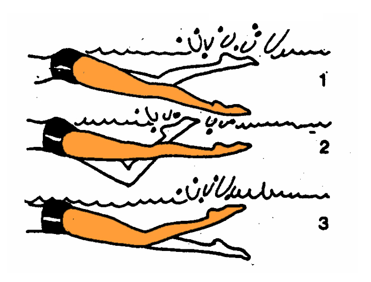 Estilos de natación: ESTILO CROL.