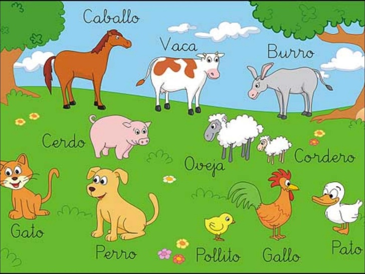 Los animales Cuadrúpedos: INTRODUCCIÓN