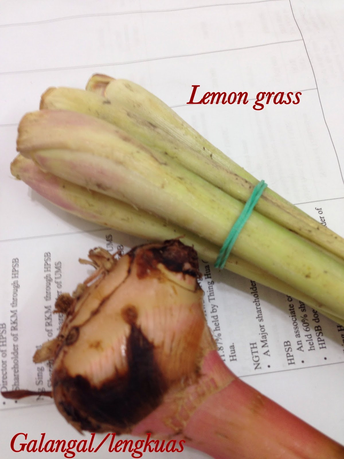 MY-HUMBLEKITCHEN: NONYA RENDANG CHICKEN