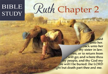 The Joyous Home: Bible Study- Ruth Chapter 2