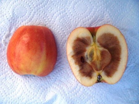 Faith in Action: BEWARE OF THE PHARISAICAL ATTITUDE