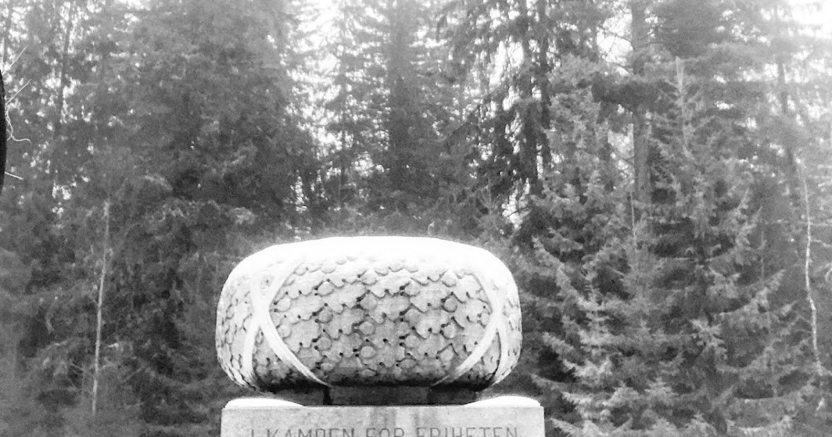 Elgseter: Trandumskogen