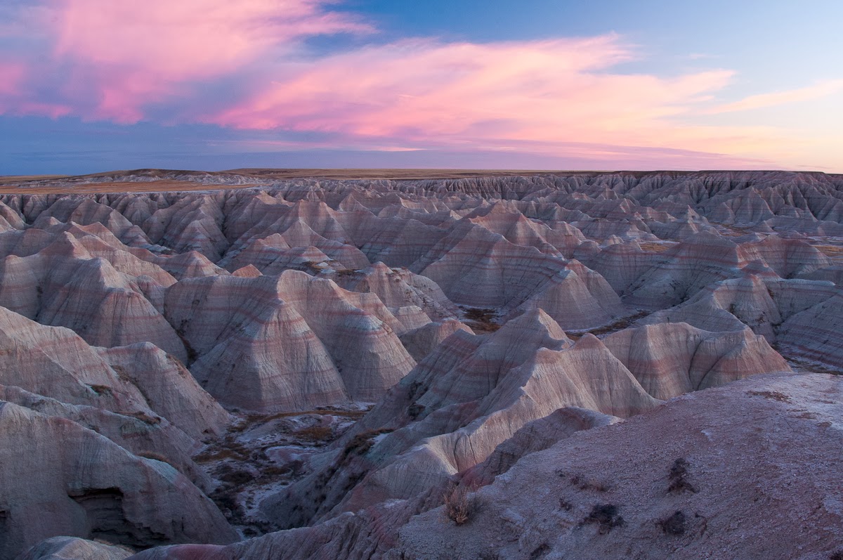 A Tree Falling: Badlands National Park: Sunrise