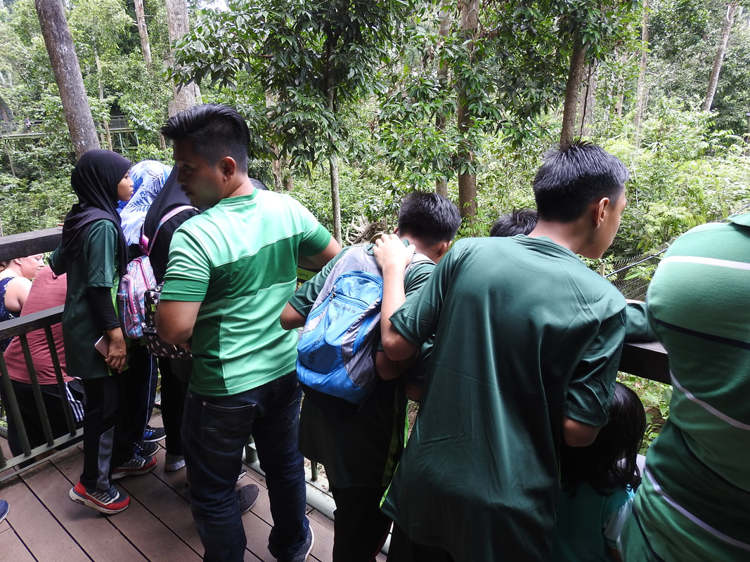 Siew Te Wong's Sun Bear Journal: SK Jeroco, Lahad Datu and SK Wakuba ...