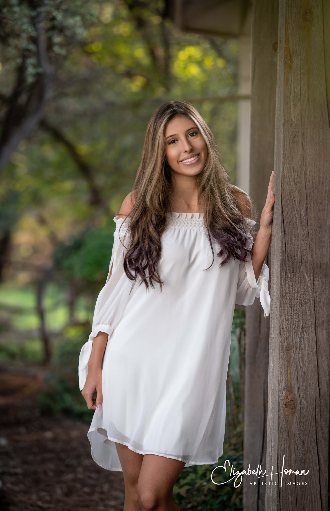 The Artistry of Elizabeth Homan: 2020