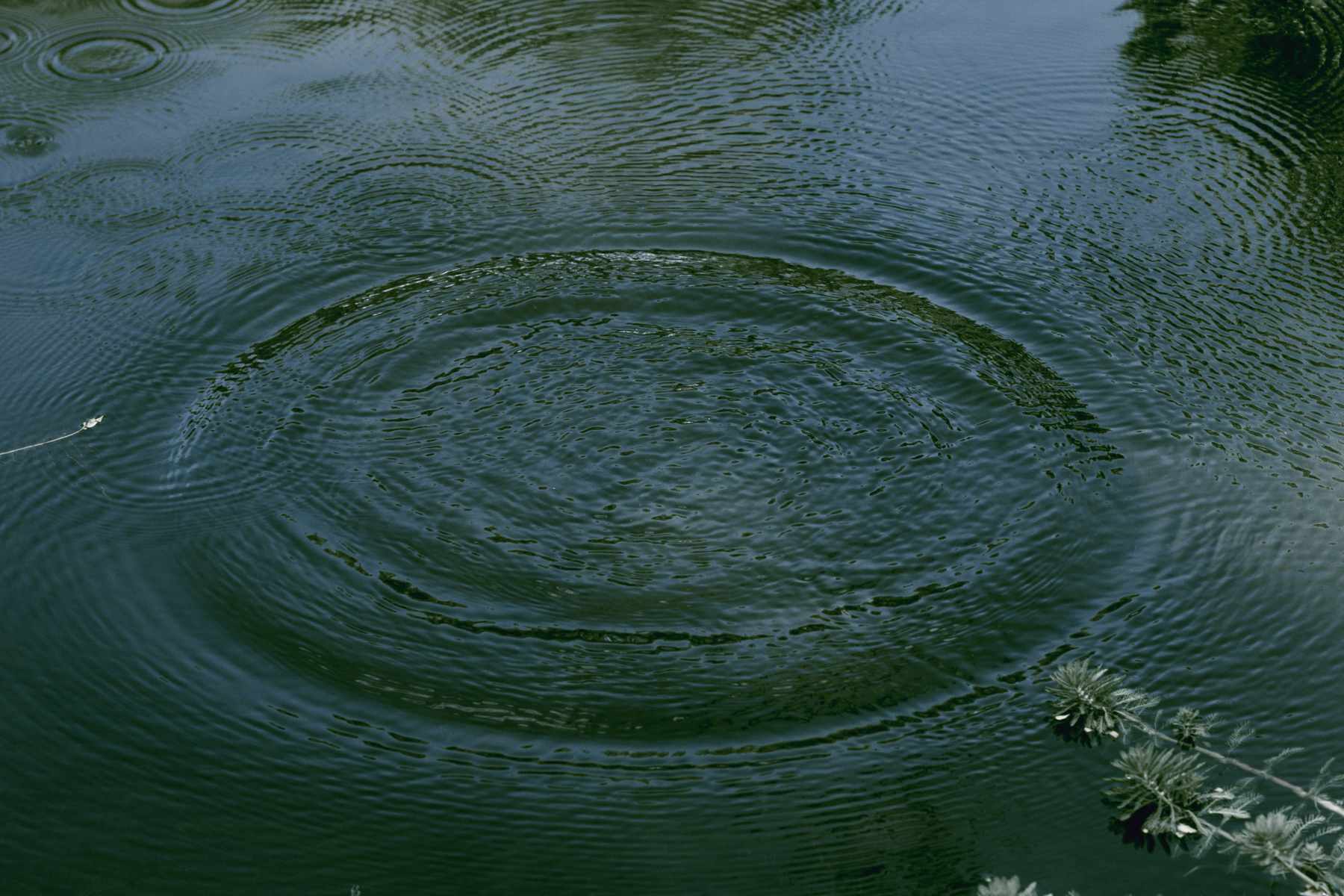 7 cosas que no sabías del Agua Florida