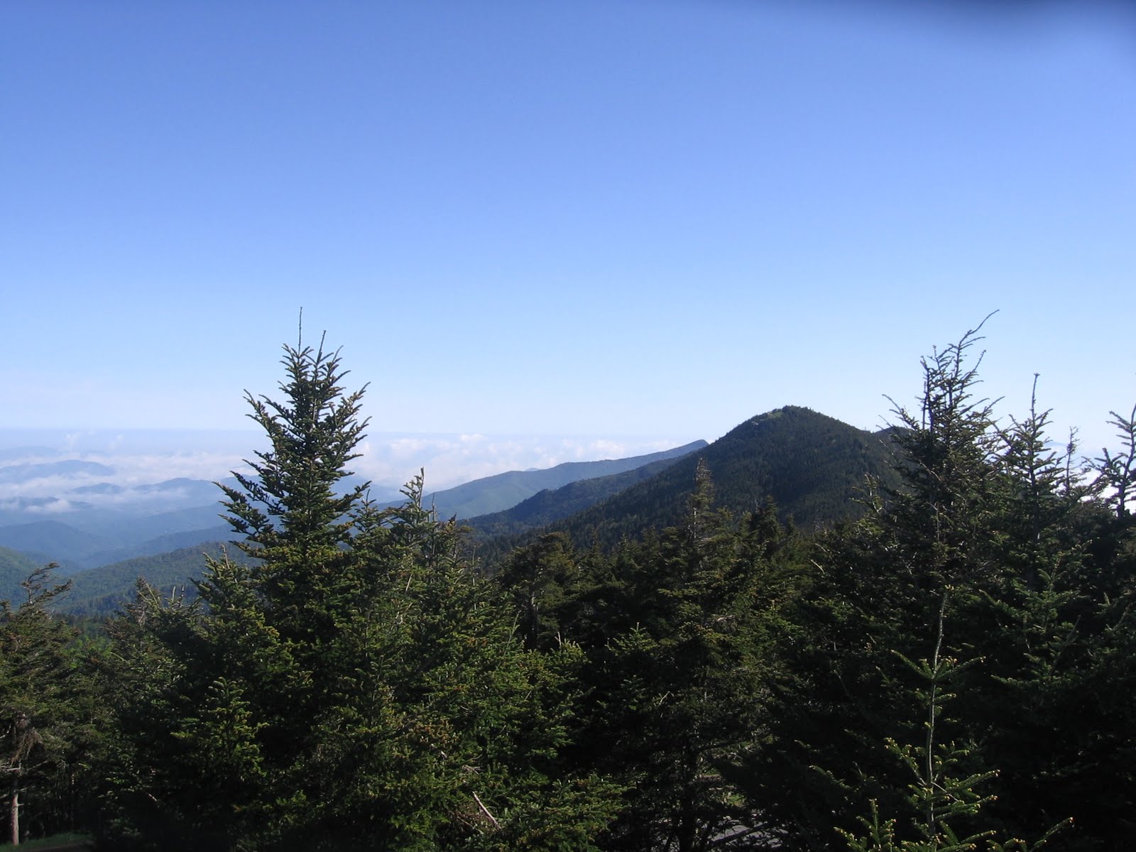 Relaxed Hiking NC: Mt Mitchell Summit and Balsam Nature Trail 5/28/2011