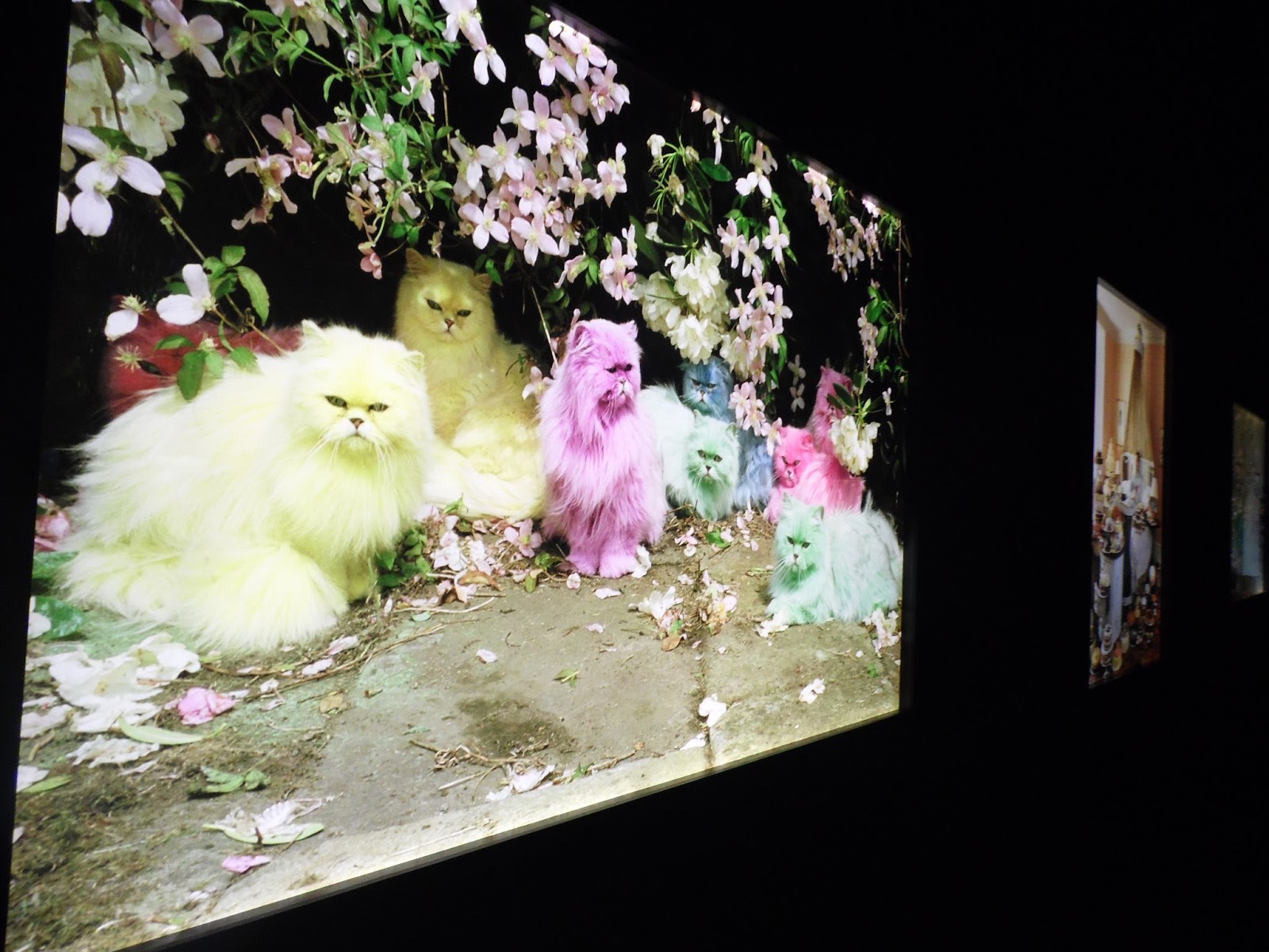 Linear outline: TIM WALKER DREAMSCRAPES @ THE BOWES MUSEUM.