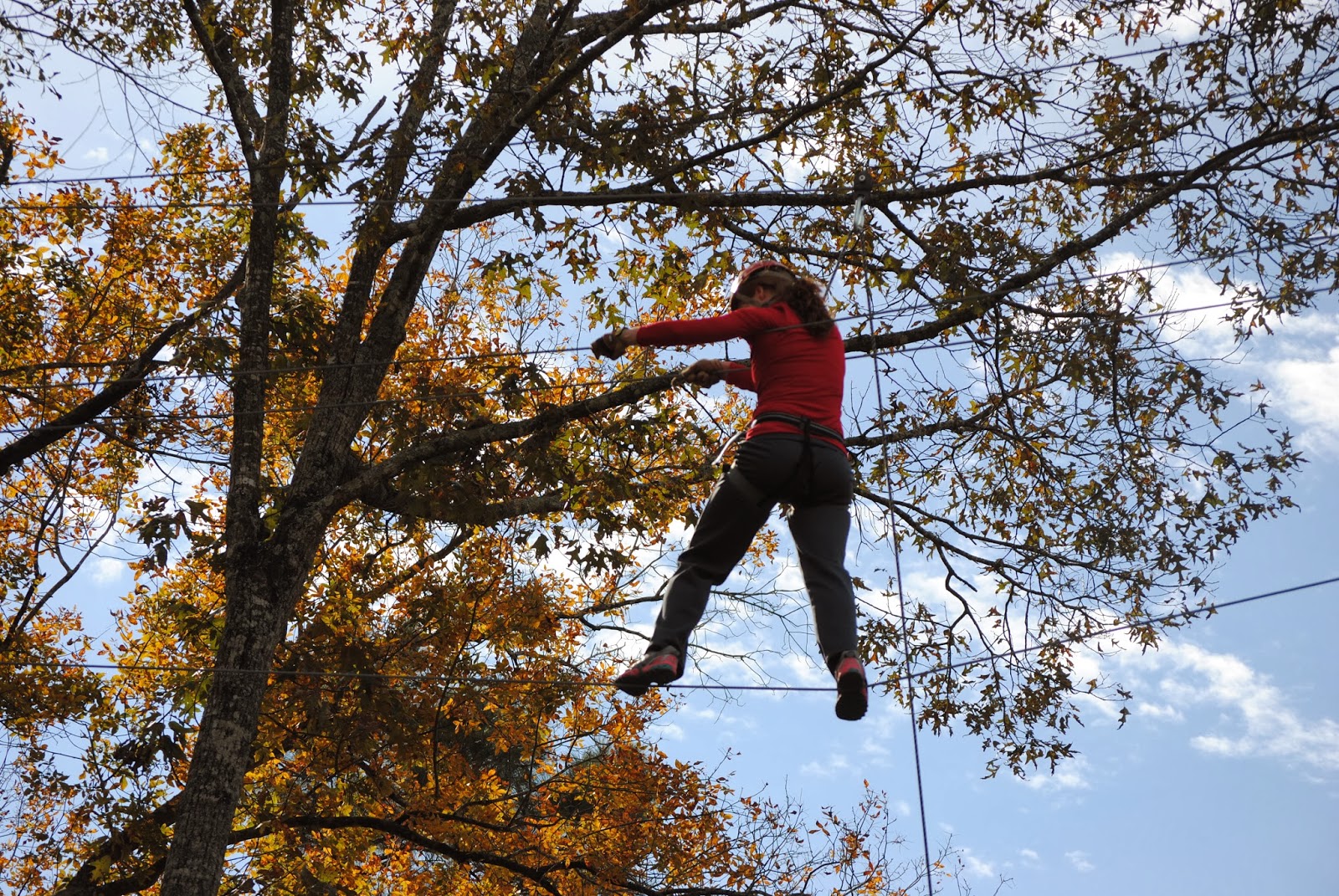 Bar-T Adventures: High Ropes Course