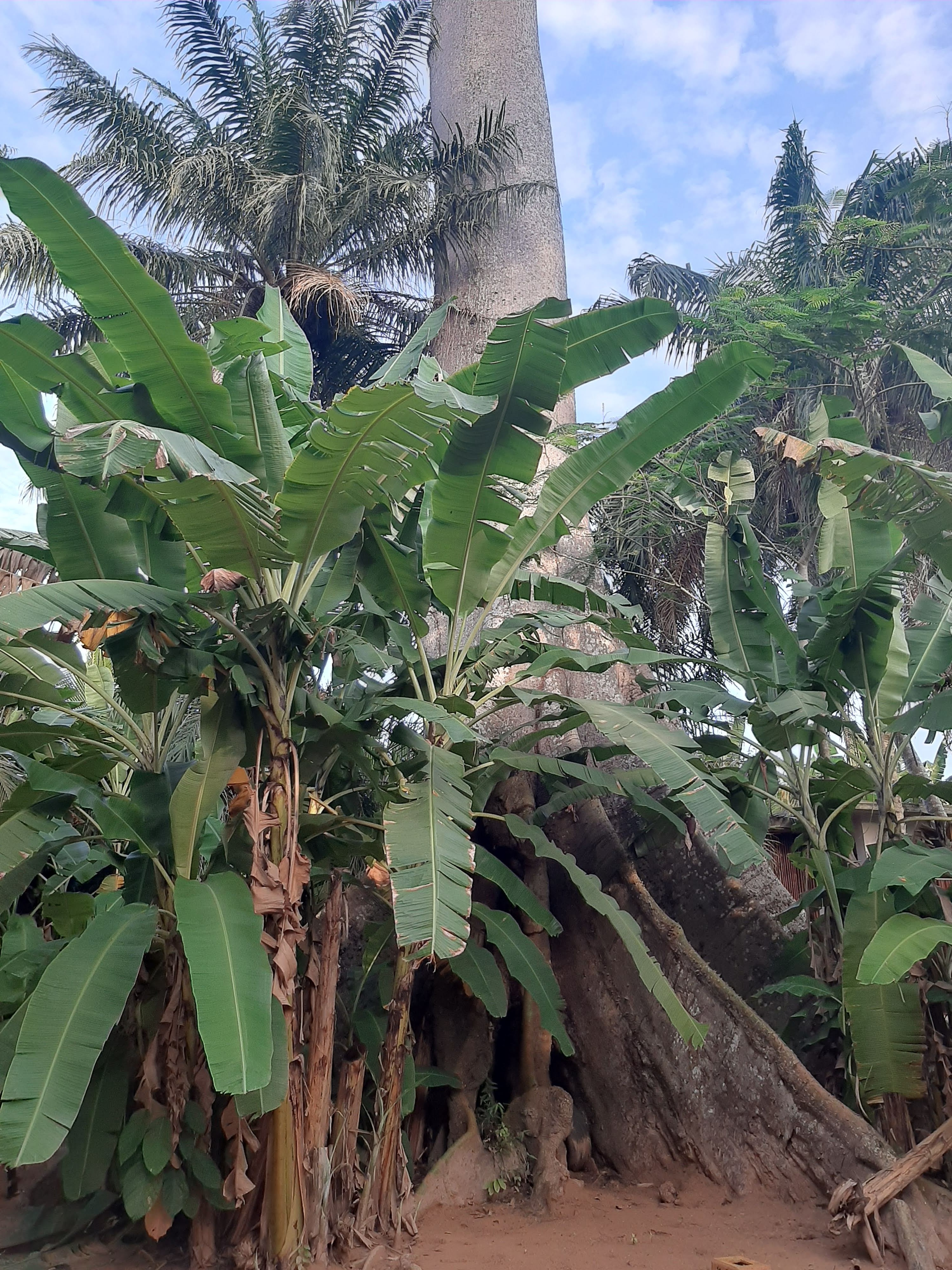 Retreat and Recharge!