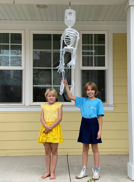 A school of fish: Human Body Unit