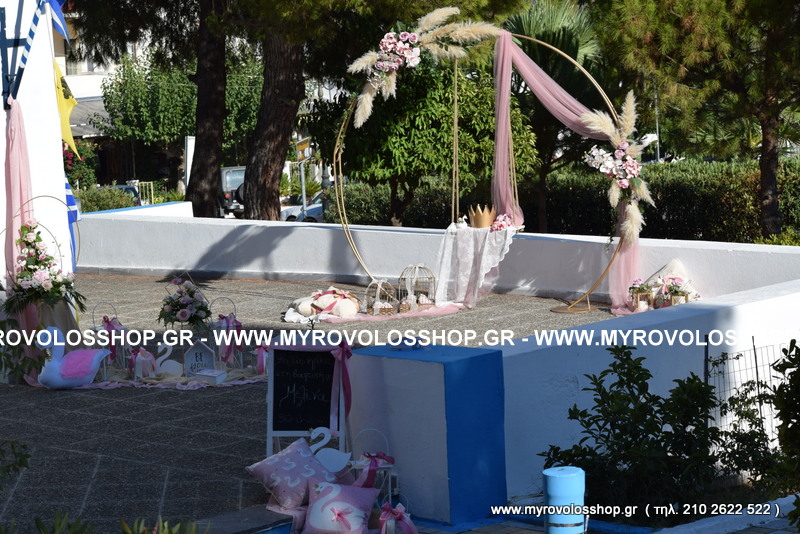 ΒΑΠΤΙΣΗ ΜΕΤΑΜΟΡΦΩΣΗ ΣΩΤΗΡΩΣ ΝΕΑ ΜΑΚΡΗ ΖΟΥΜΠΕΡΙ 2, ΘΕΜΑ SWAN,ΚΥΚΝΟΣ ...