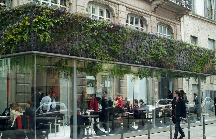 ΤΑΡΑΤΣΟΚΗΠΟΣ...Ο ΚΗΠΟΣ ΤΩΝ ΠΟΛΕΩΝ: Οι κάθετοι Κηποι της Αθήνας