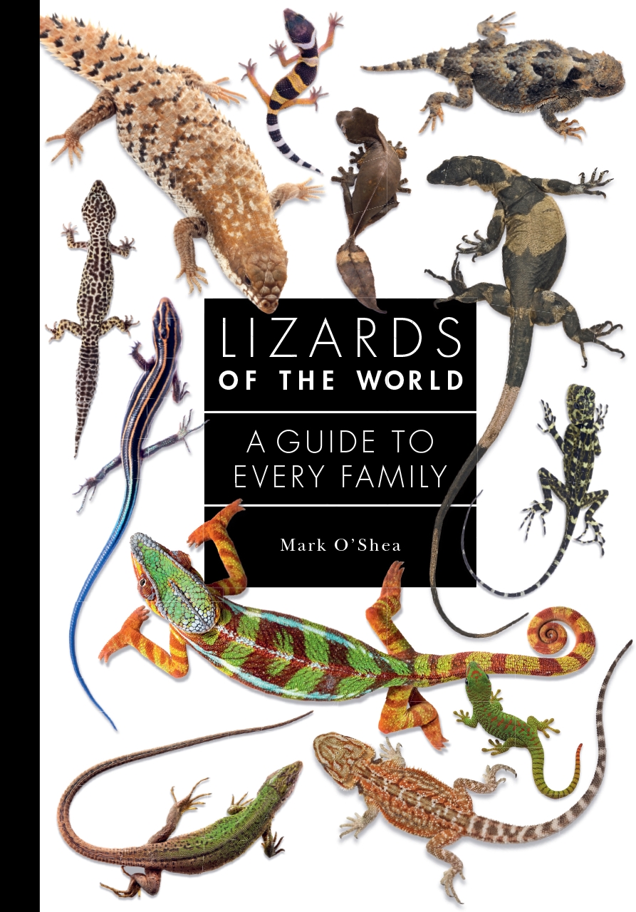 Book Review - Lizards of the World, A Guide to Every Family - Princeton ...