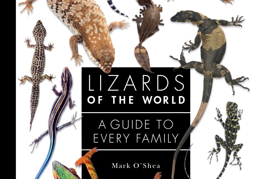 Book Review - Lizards of the World, A Guide to Every Family - Princeton ...