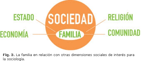 Equipo II : 3.1 Conceptos de Estructura Social