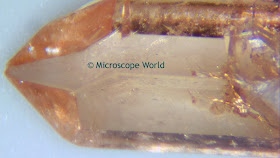Microscope World Blog: Gems under the Microscope